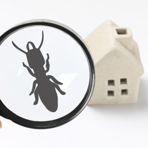Nebraska VA and FHA Termite Inspection | Omaha Pest Control